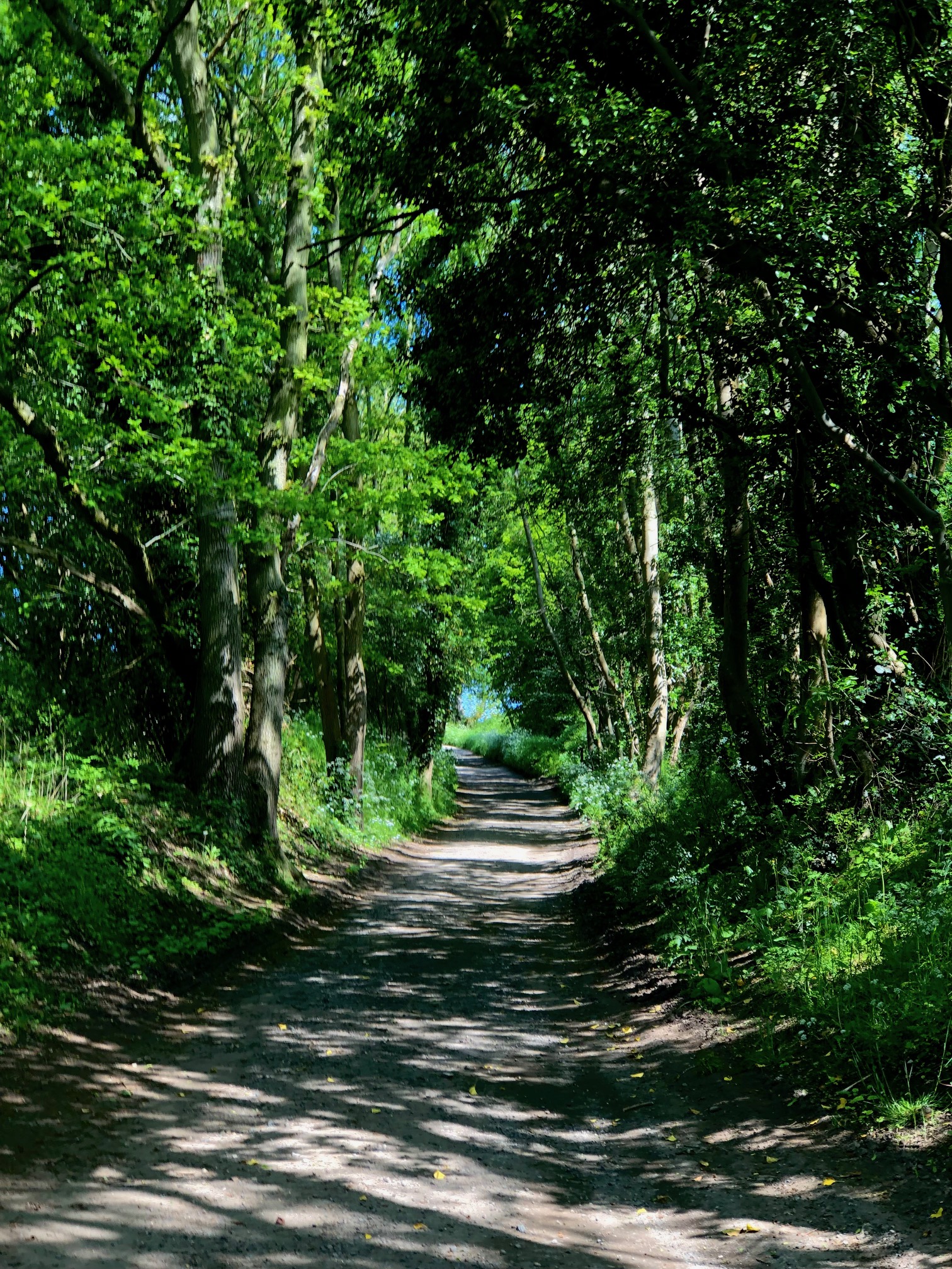 Show Notes and Transcript for Episode 10: The Ghosts of St Mary’s Old ...