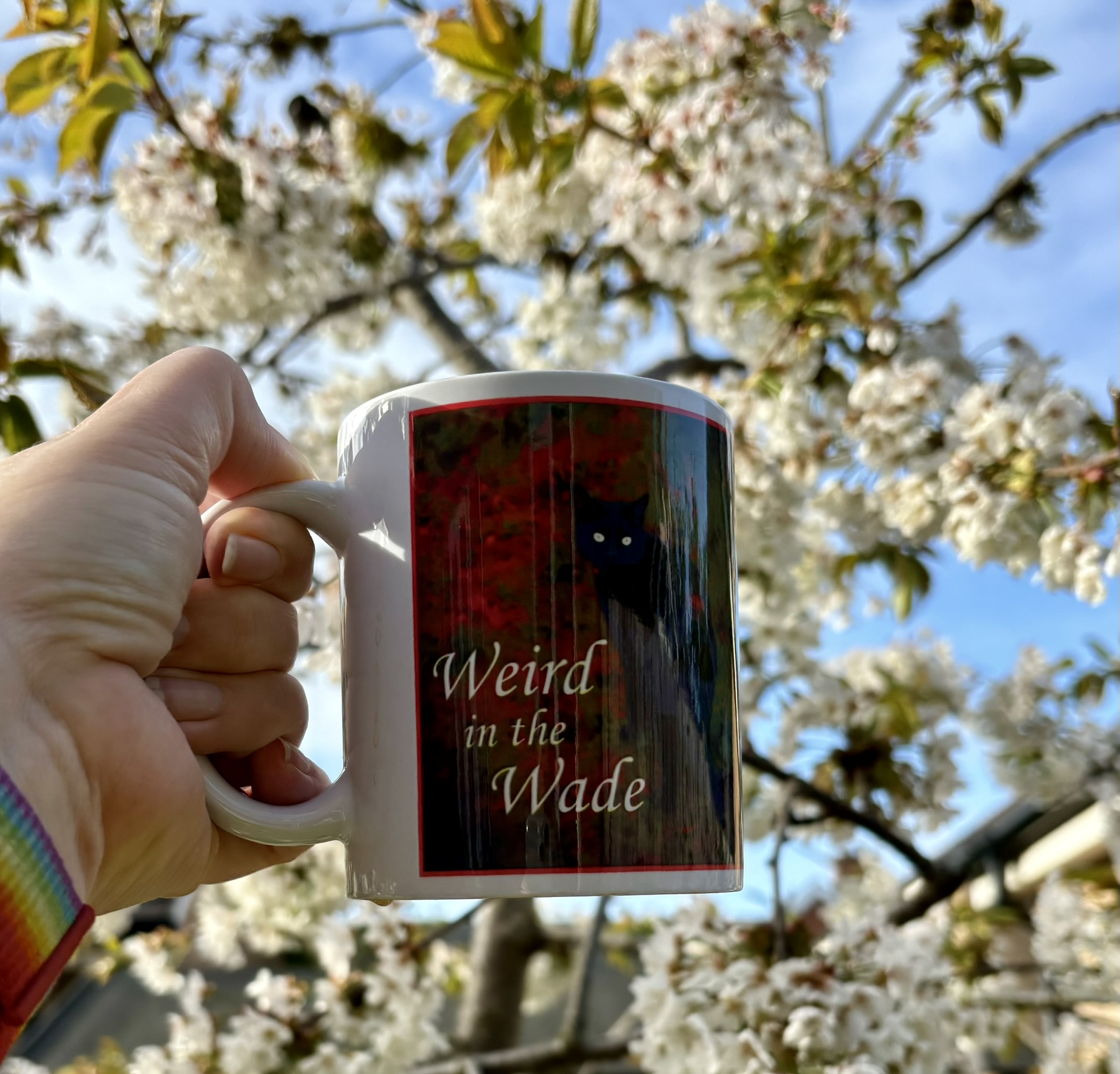 Weird in the Wade Merch is Here! – Weird In The Wade